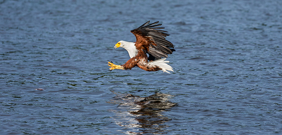 Queen Elizabeth Nationalpark – African Greenland